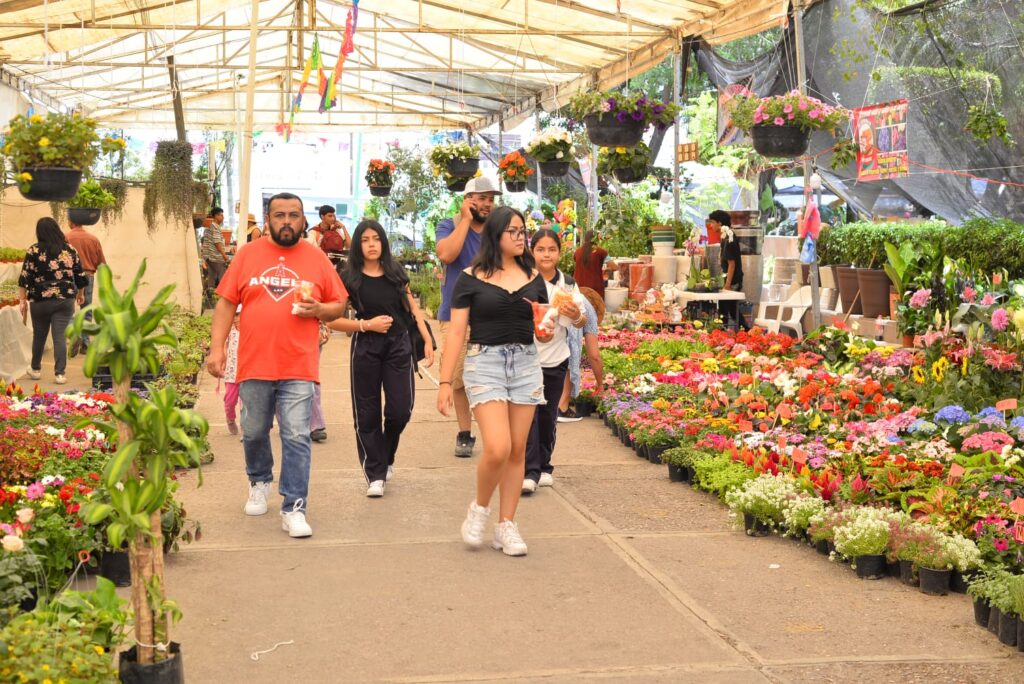 TALLERES TEMÁTICOS ENGALAN “FESTIVAL DE LAS FLORES 2023”, EN SOLEDAD ...